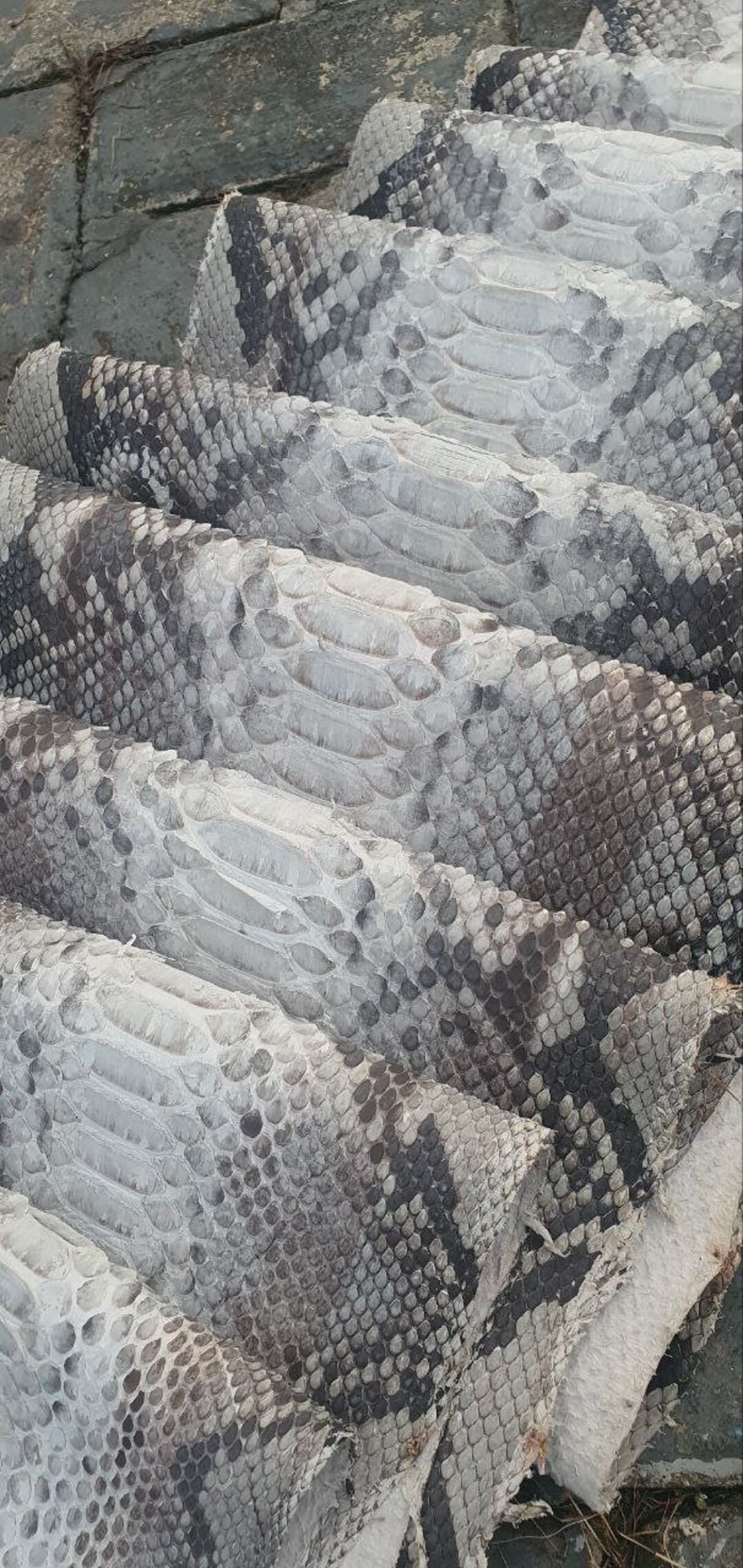 171 Inch Genuine Python Snake Skin Hide Real Leather Make Bags Jackets ...