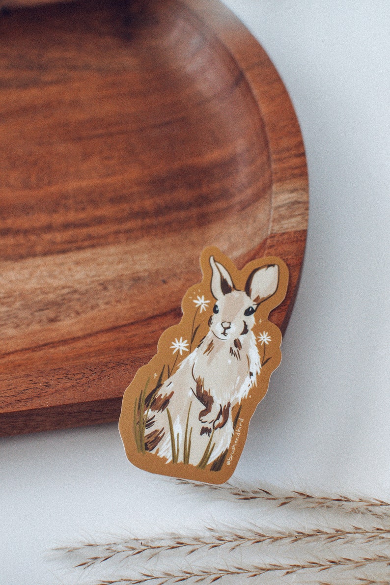 Bunny Sticker Nature Lover Sticker Rabbit Illustration - Etsy