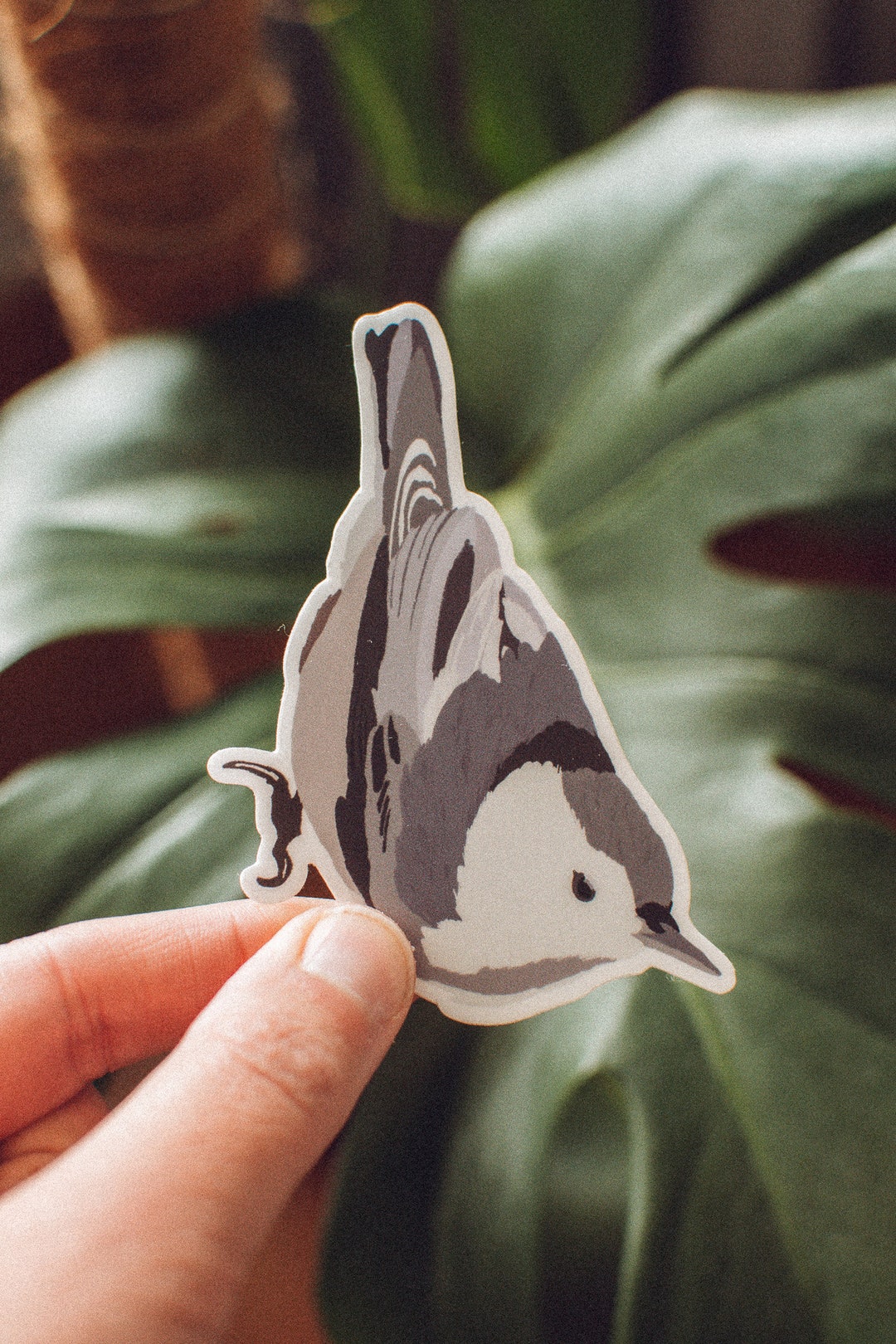 White Breasted Nuthatch Sticker, Backyard Bird Sticker, Wildlife Art ...