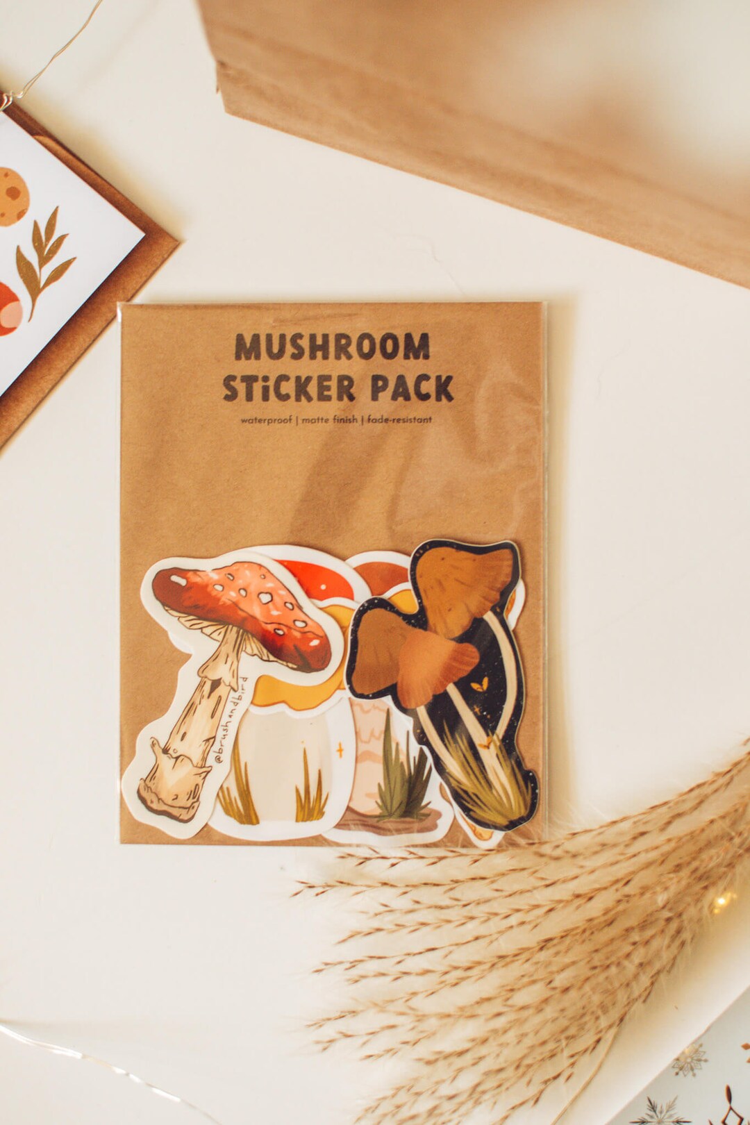 Mushroom Sticker Pack, Set of 5 Mushroom Stickers, Funghi Sticker Pack ...