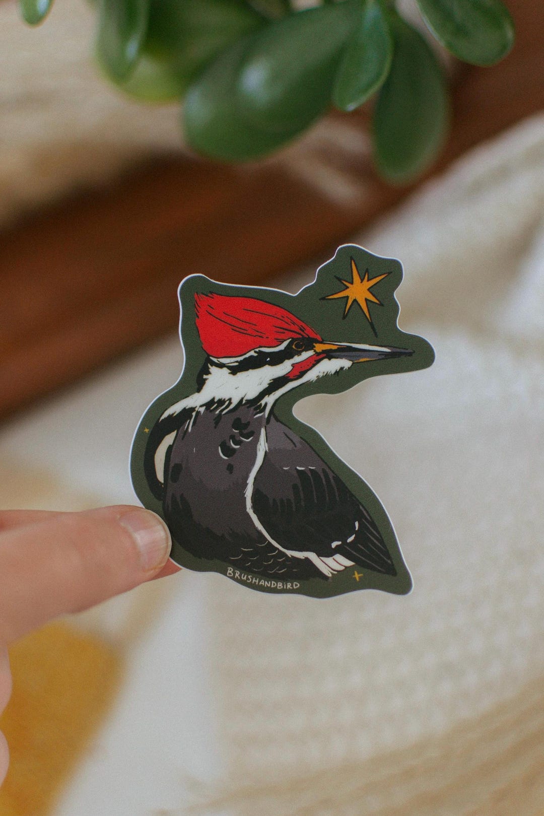 Pileated Woodpecker Sticker, Birdwatcher Gift, Nature Sticker, Wildlife ...