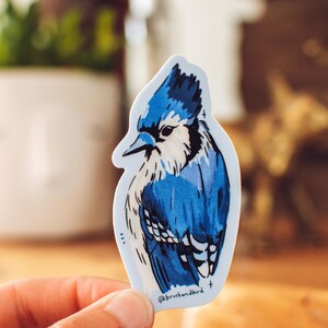 Bird Sticker Pack - Set of 5 Waterproof Vinyl Backyard Bird Stickers ...