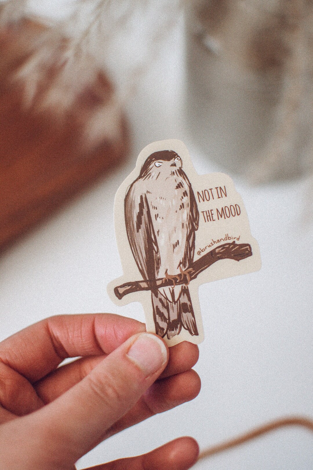Moody Hawk Sticker, Bird Sticker, Wildlife Sticker, Angry Bird Sticker ...