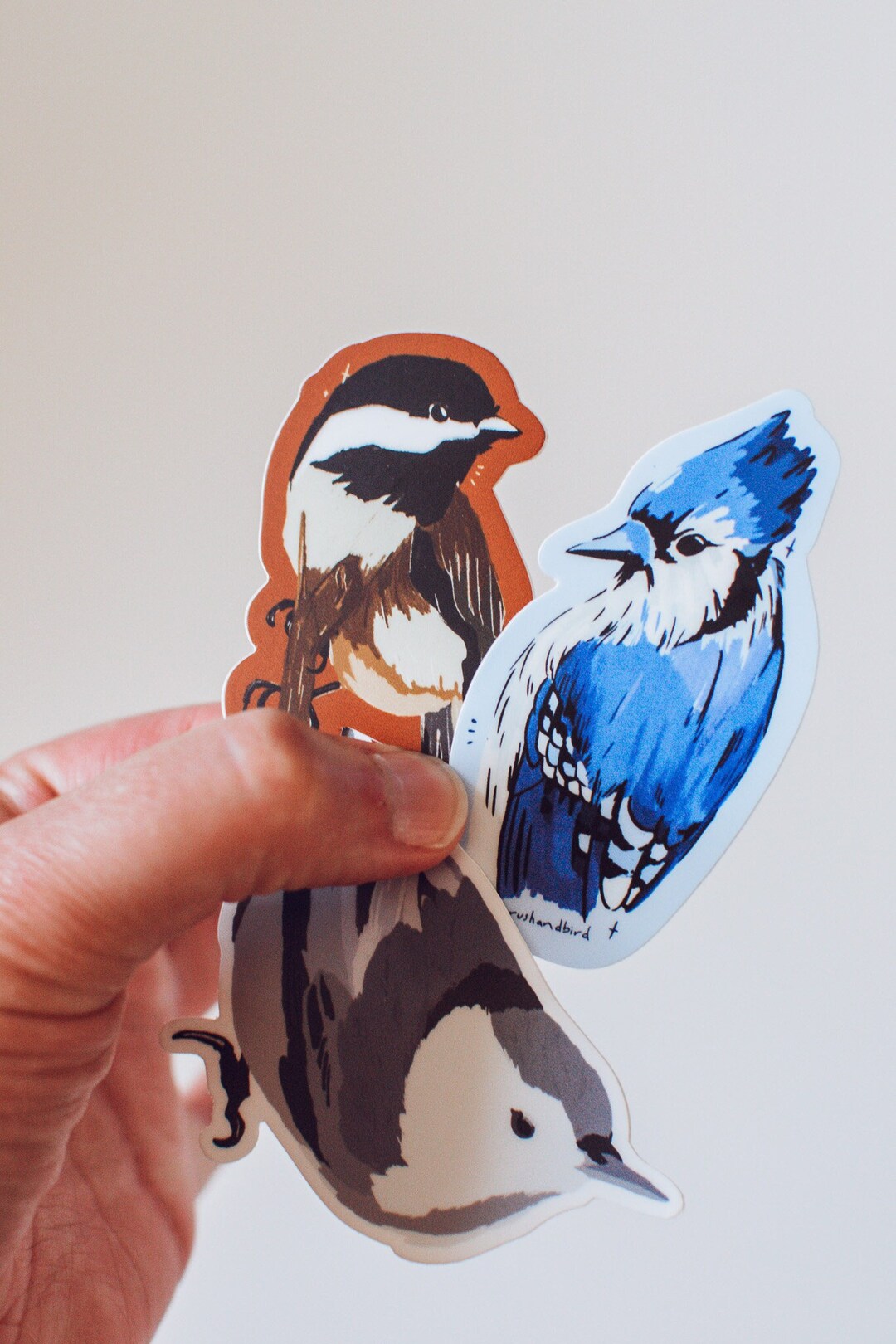 Backyard Birds Sticker Set, Set of 3 Bird Stickers, Vinyl Sticker ...