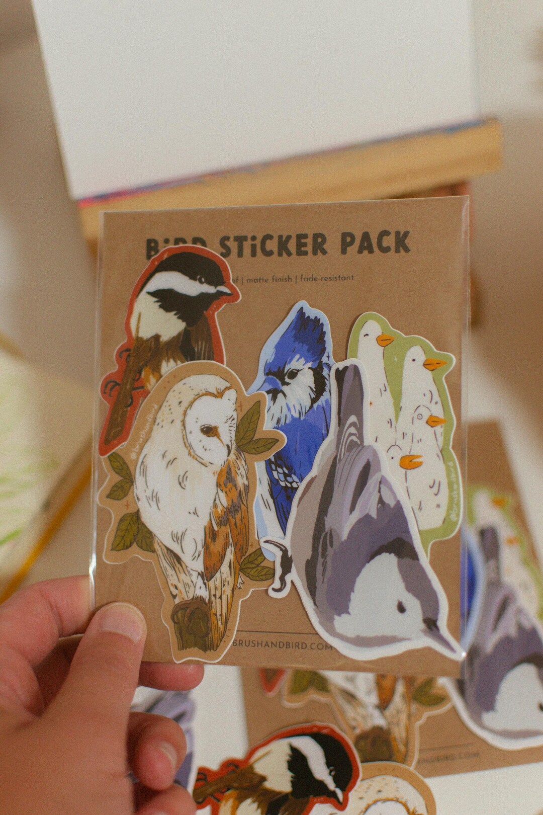 Bird Sticker Pack - Set of 5 Waterproof Vinyl Backyard Bird Stickers ...
