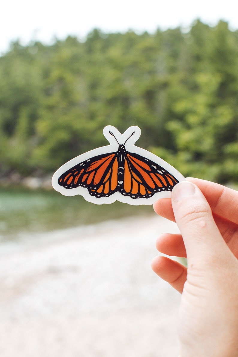 Monarch Butterfly Sticker Pollinator Sticker Wildlife - Etsy