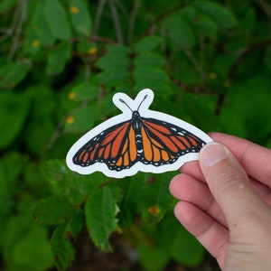 Monarch Butterfly Sticker Pollinator Sticker Wildlife - Etsy