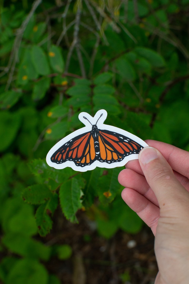 Monarch Butterfly Sticker Pollinator Sticker Wildlife - Etsy