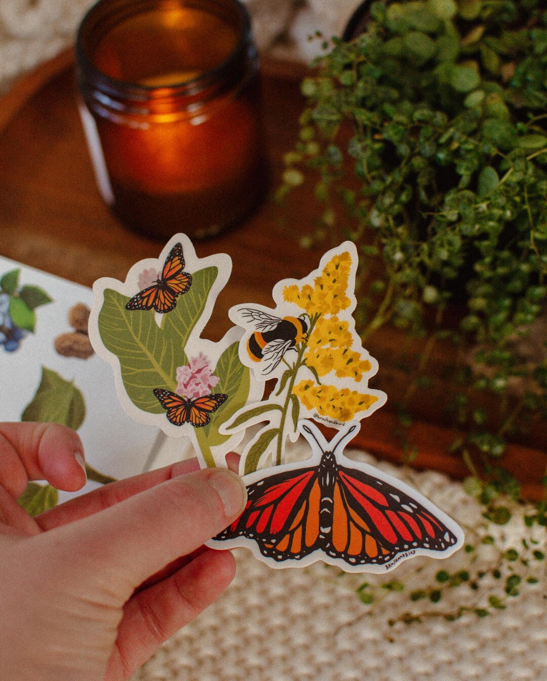 Pollinator Sticker Set, 3 Matching Waterproof Vinyl Stickers for Water ...