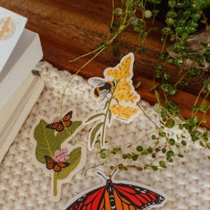 Pollinator Sticker Set, 3 Matching Waterproof Vinyl Stickers for Water ...