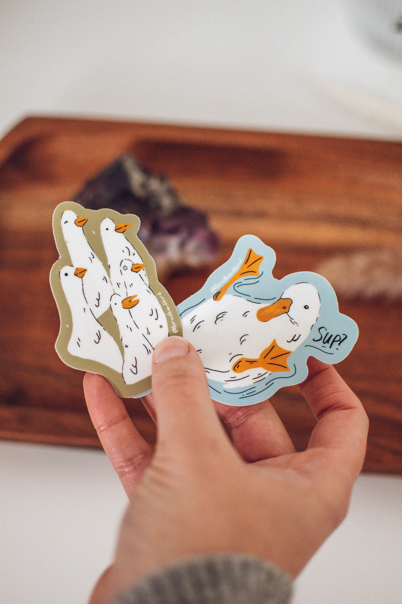 Cute Duck Sticker Funny Ducks Bird Sticker Wildlife - Etsy