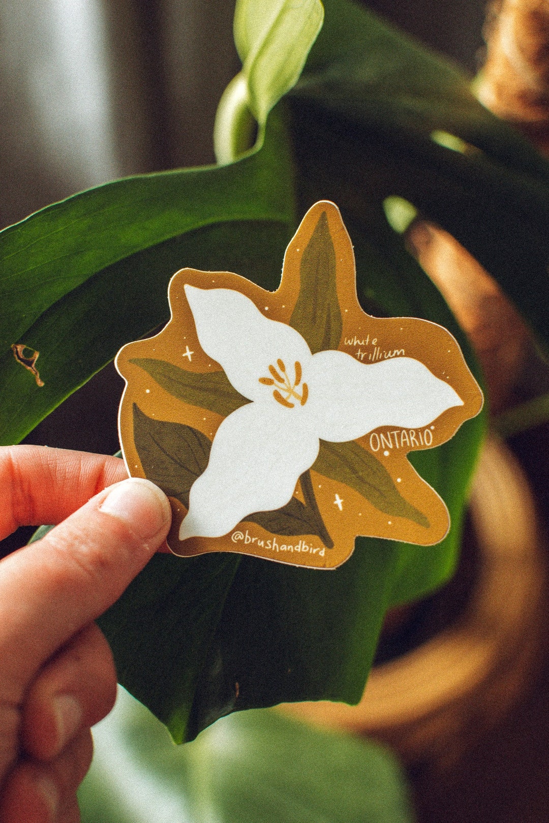 Ontario Sticker | White Trillium, Ontario Provincial, Flower Sticker ...
