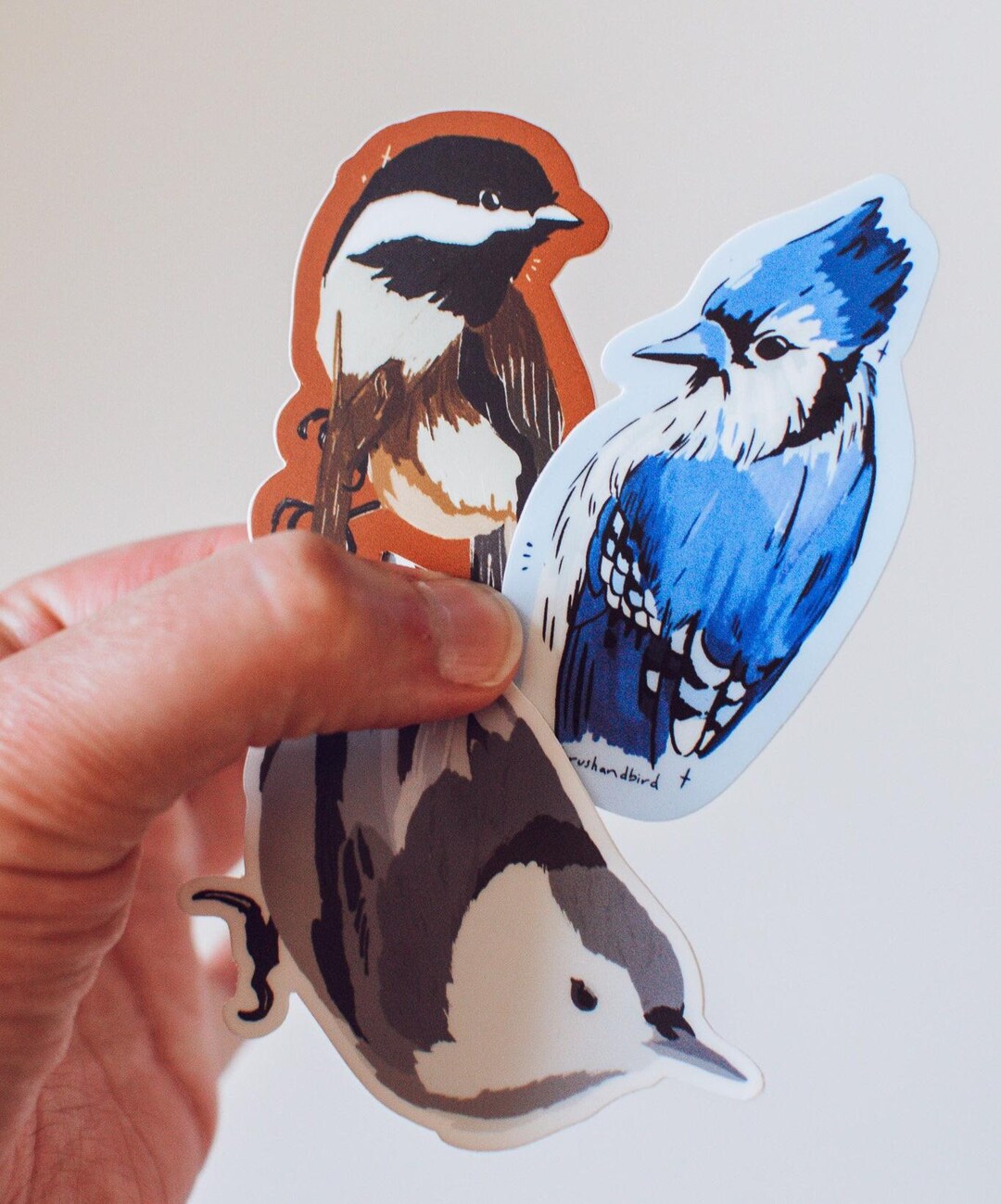 Backyard Birds Sticker Set, Set of 3 Bird Stickers, Vinyl Sticker ...