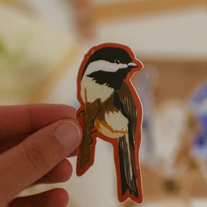 Bird Sticker Pack - Set of 5 Waterproof Vinyl Backyard Bird Stickers ...