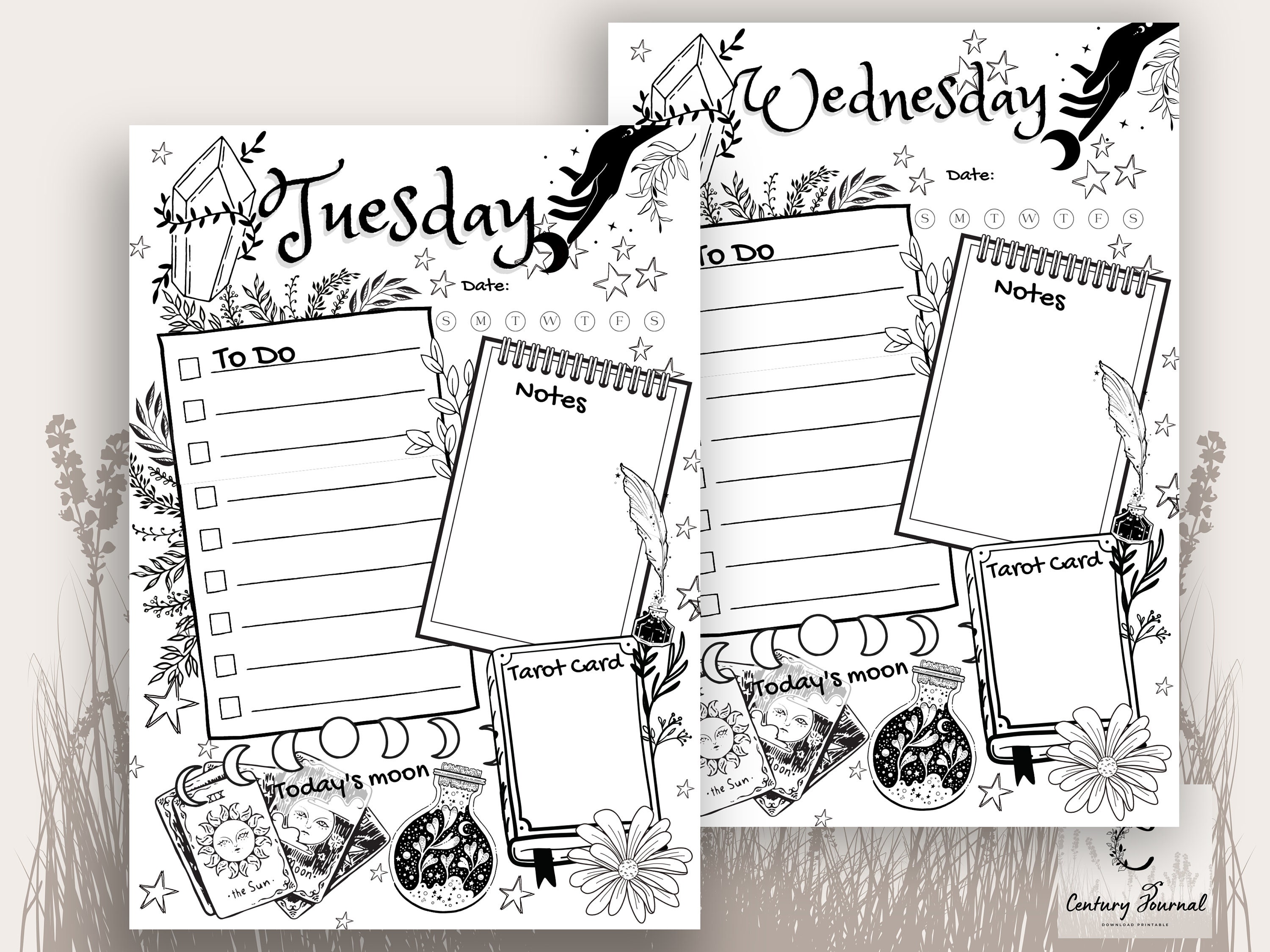 Daily Witch Planner Witchy Printable Pages Printable Witch - Etsy