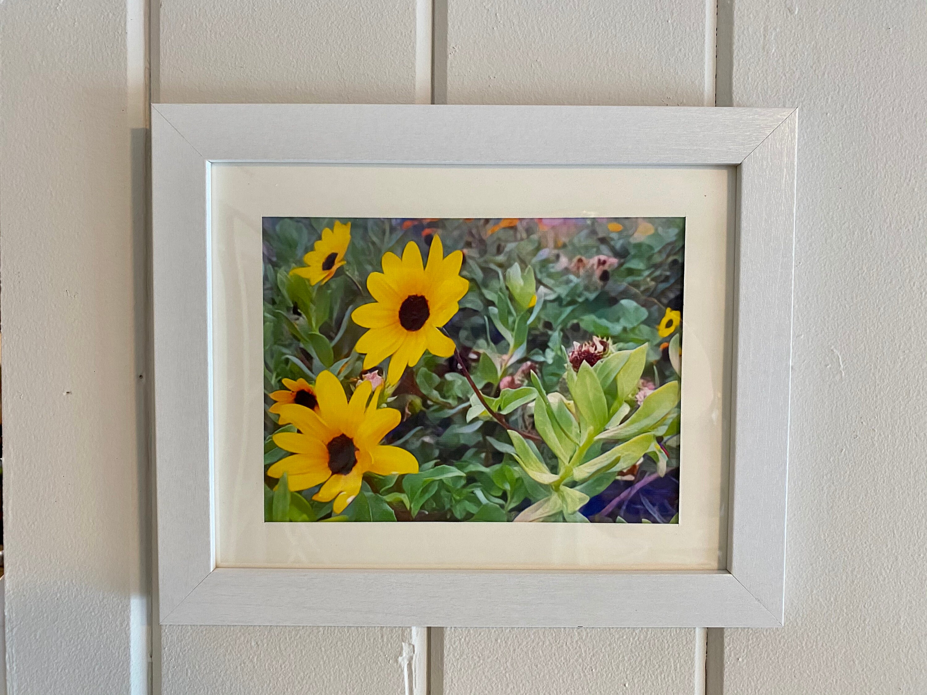 Sunflower Photo Beach Wild Flowers - Etsy New Zealand