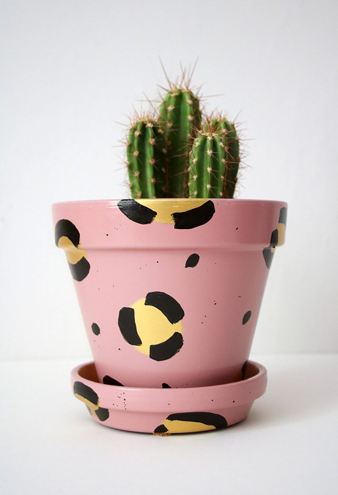 Mauve Leopard Print Terracotta Pot With Saucer I Indoor Plant - Etsy