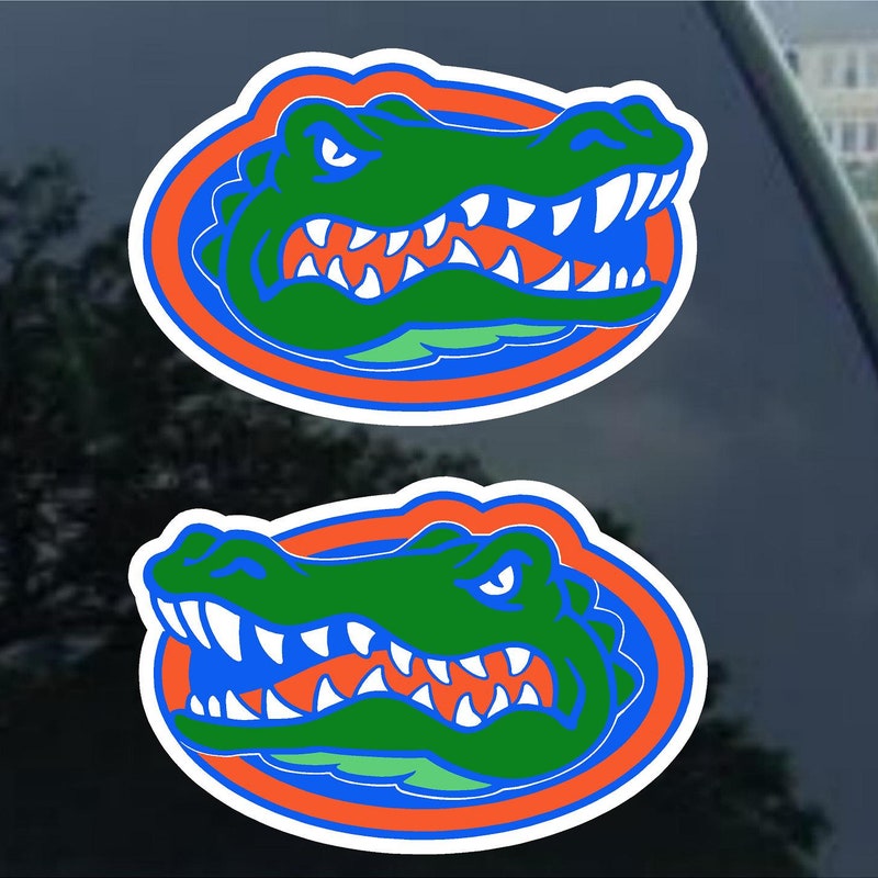 Florida Decal - Etsy