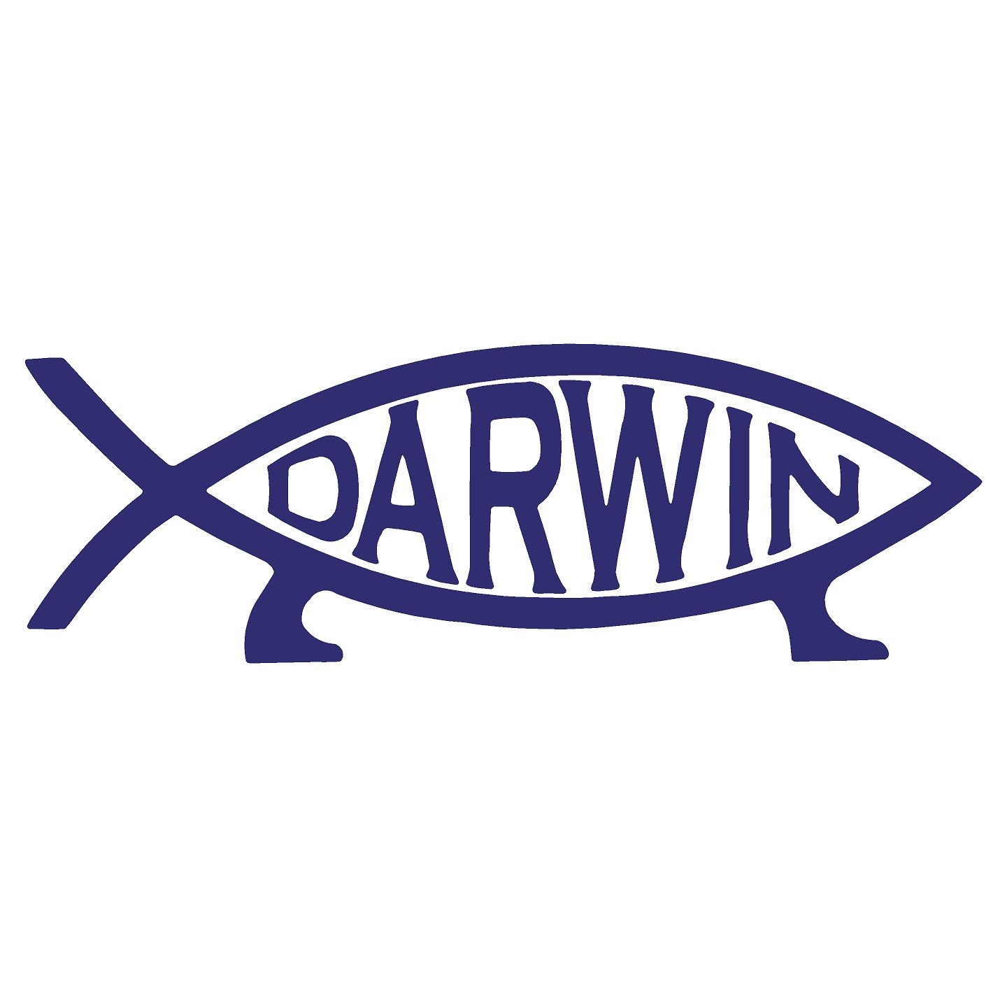 DARWIN FISH Vinyl Decal Car Window Mirror Bumper. Laptop - Etsy