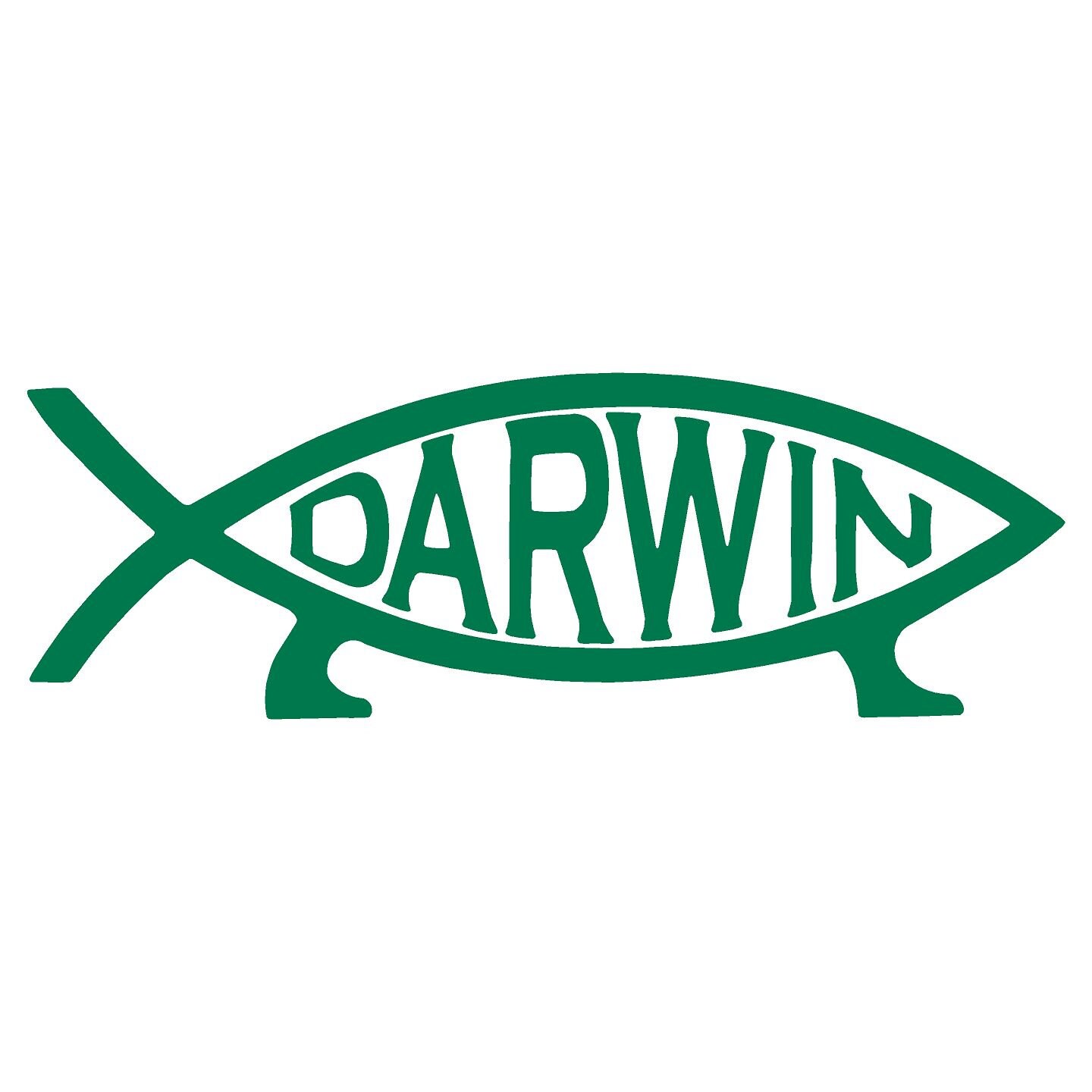 DARWIN FISH Vinyl Decal Car Window Mirror Bumper. Laptop - Etsy