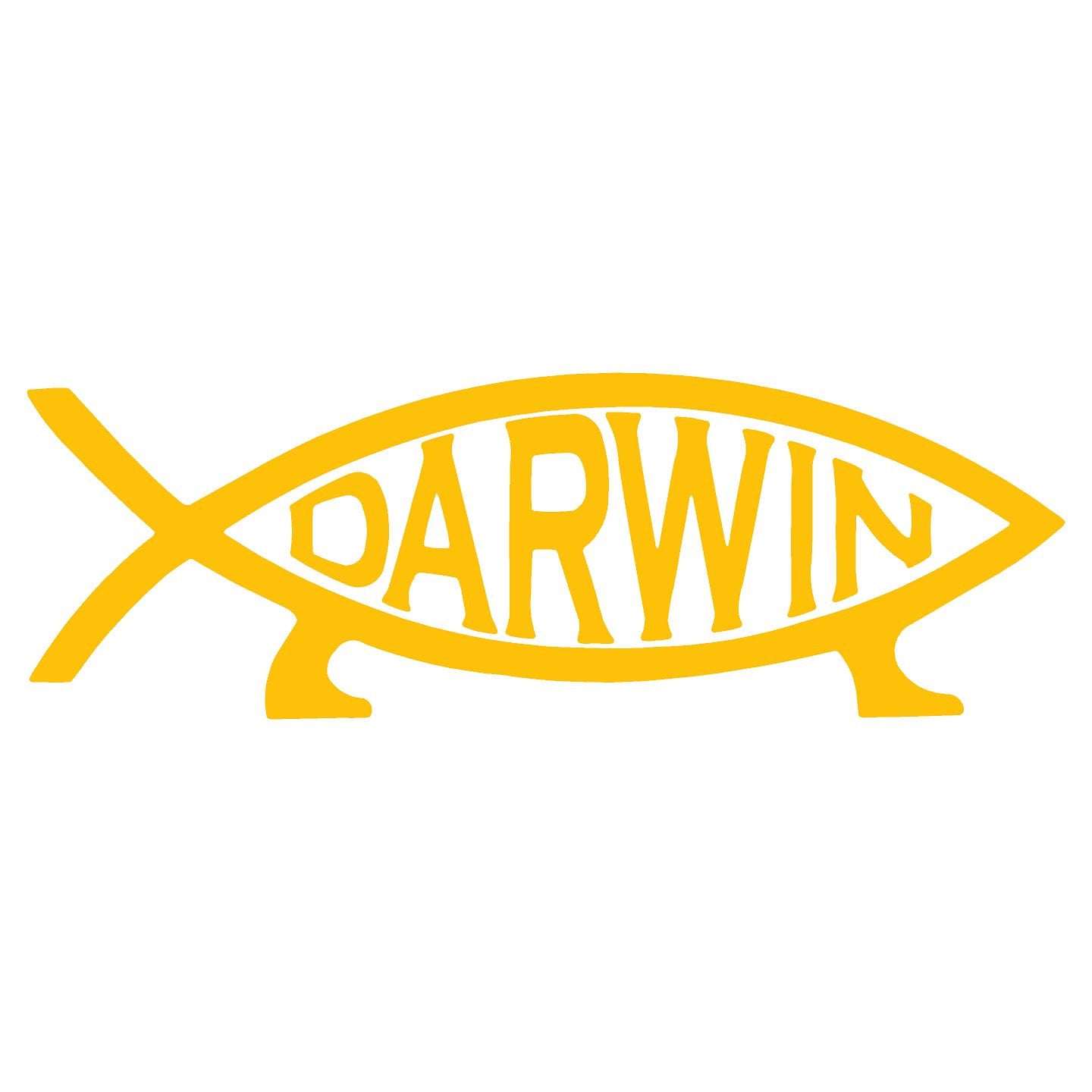 DARWIN FISH Vinyl Decal Car Window Mirror Bumper. Laptop - Etsy