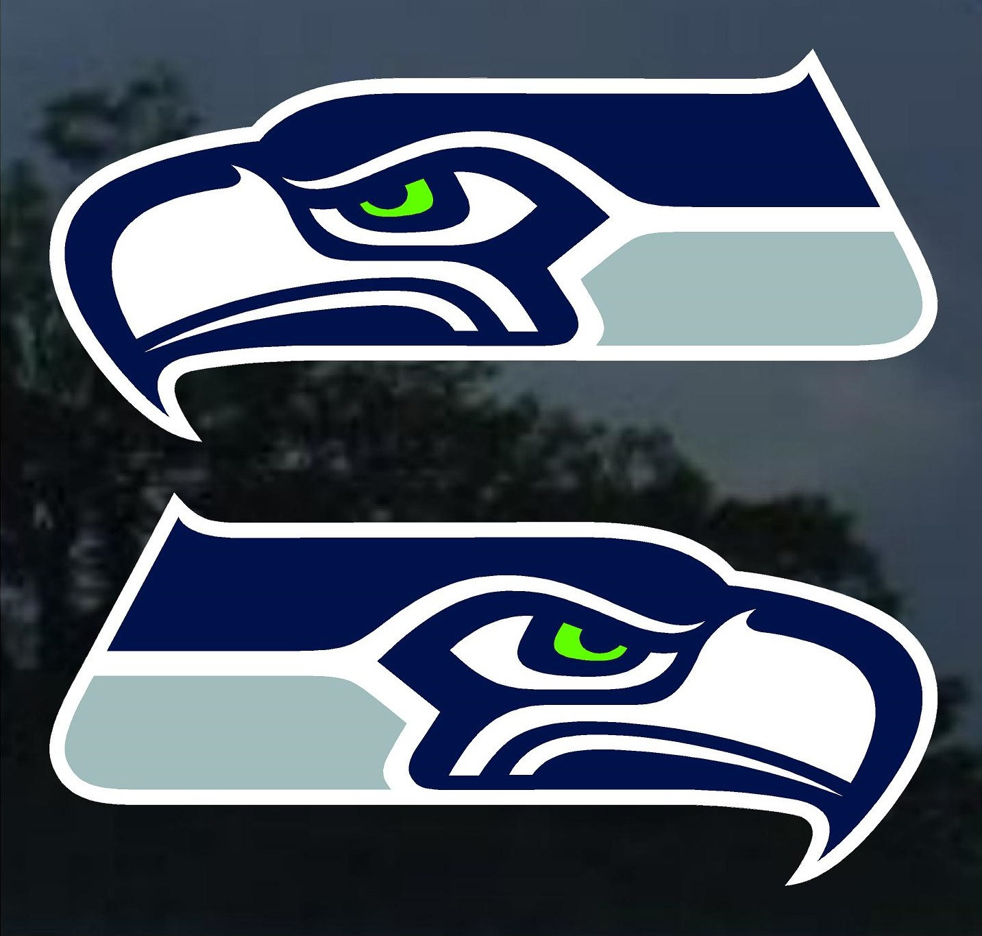 SEATTLE SEAHAWKS Vinyl decal 2 Decal Set 2 Stickers Left | Etsy