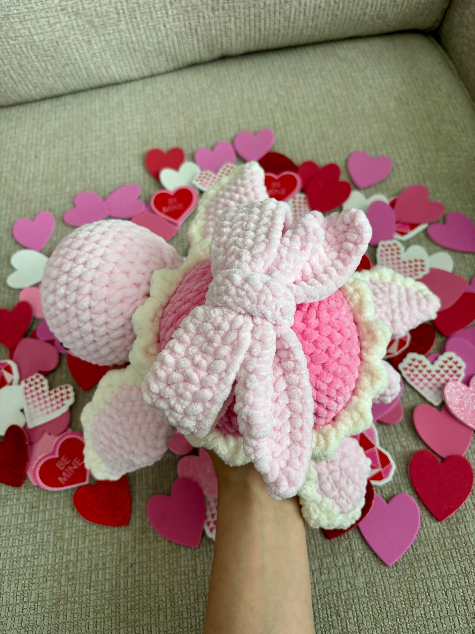 Coquette Turtle - Etsy