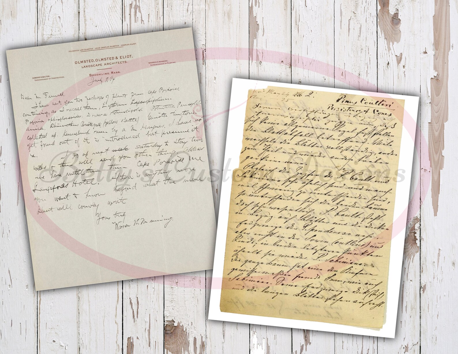 Printable Vintage Script Letters Paper Textures Digital - Etsy