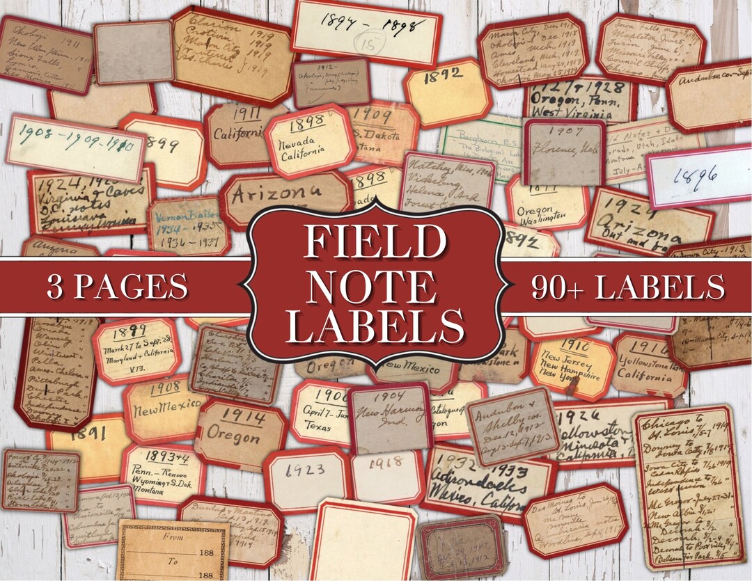 Field Note Labels - Random Labels - Junk Journal Ephemera ...