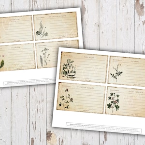 Botanical Specimen Journal Cards - Vintage Botanical - Digital ...
