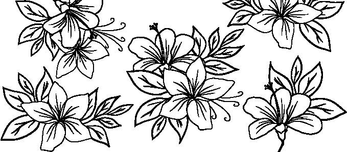 Outline Flower Glass Wrap Svg,16oz Libbey Full Wrap Svg,floral Can ...