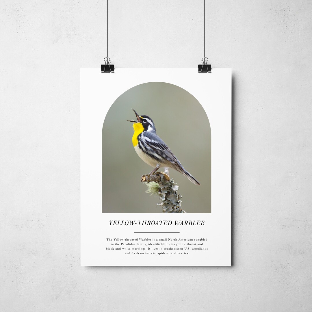 Custom Bird Print, Personalised Bird Lovers Gift, Naturalism Bird ...