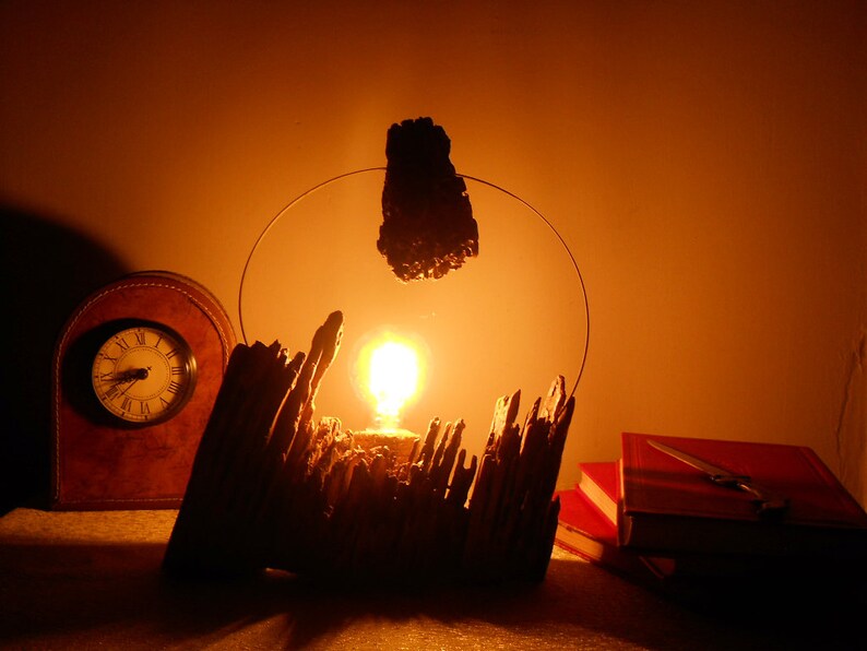 Unique Driftwood Lamptree Bark Lamp Sculpture Wood Lamp - Etsy