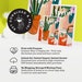 Aperol Spritz Plants and Flowers Cocktail Poster Retro Bar Wall Art ...