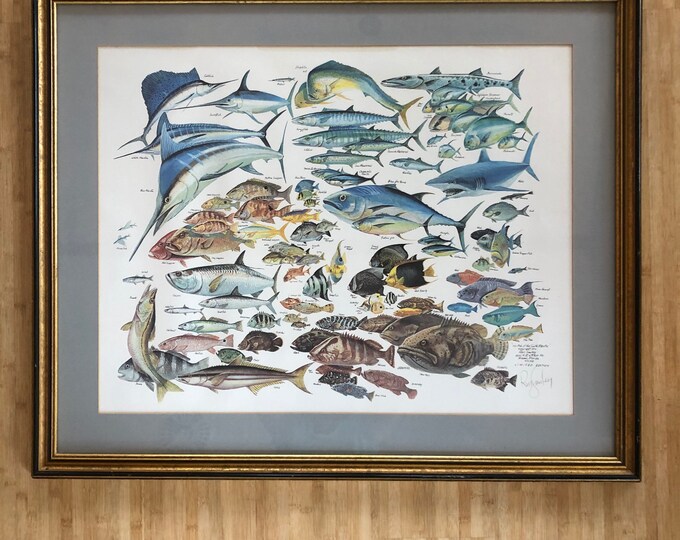 Signed Russ Smiley “101 Fish of the South Atlantic” Lithograph Framed ...