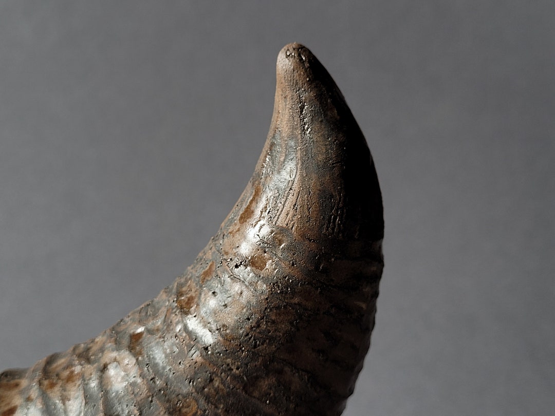 Ocarina Horn in Minor Pentatonic Scale Key F 432 Hz / Ancient - Etsy