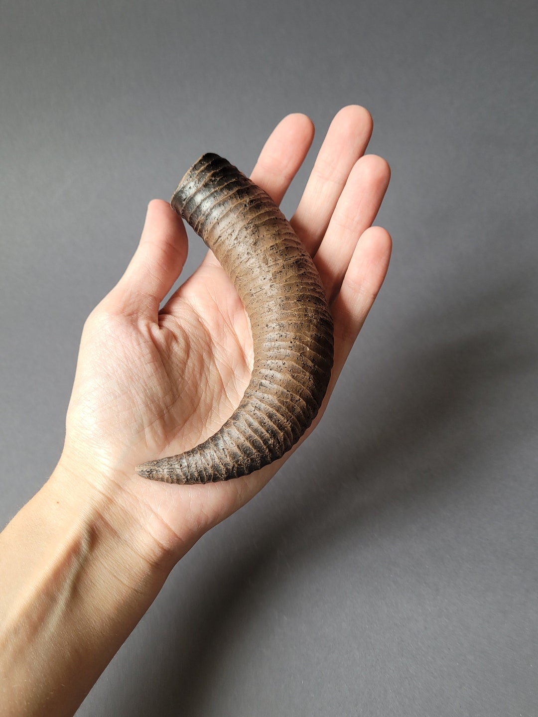 Ocarina Horn in Minor Pentatonic Scale Key 432 Hz / Ancient - Etsy Hong ...