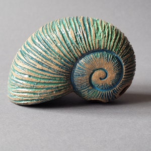 Ancient Musical Instrument Ocarina Seashell in Key G 432hz / Ammonite ...