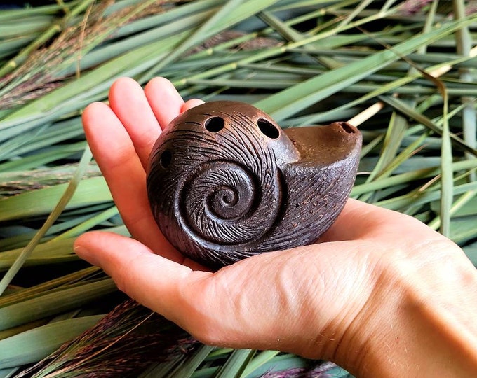 Ancient Musical Instrument Ocarina Black Seashell in Major Diatonic ...