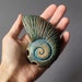 Ancient Musical Instrument Ocarina Seashell in Key G 432hz / Ammonite ...