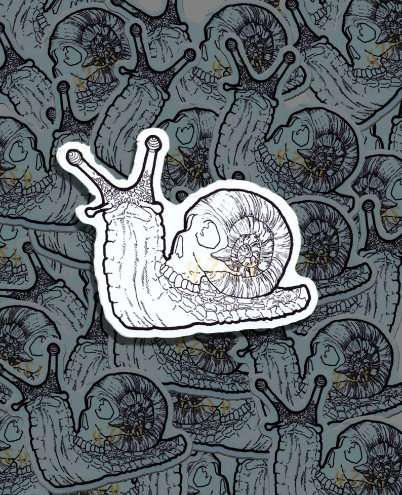 Skull Snail Sticker - Etsy
