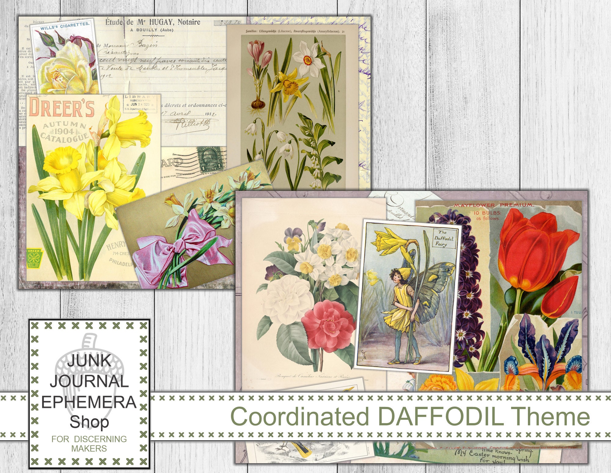 Daffodil Fairy Collage Pages, Daffodil, Shabby Yellow, Yellow Collage ...