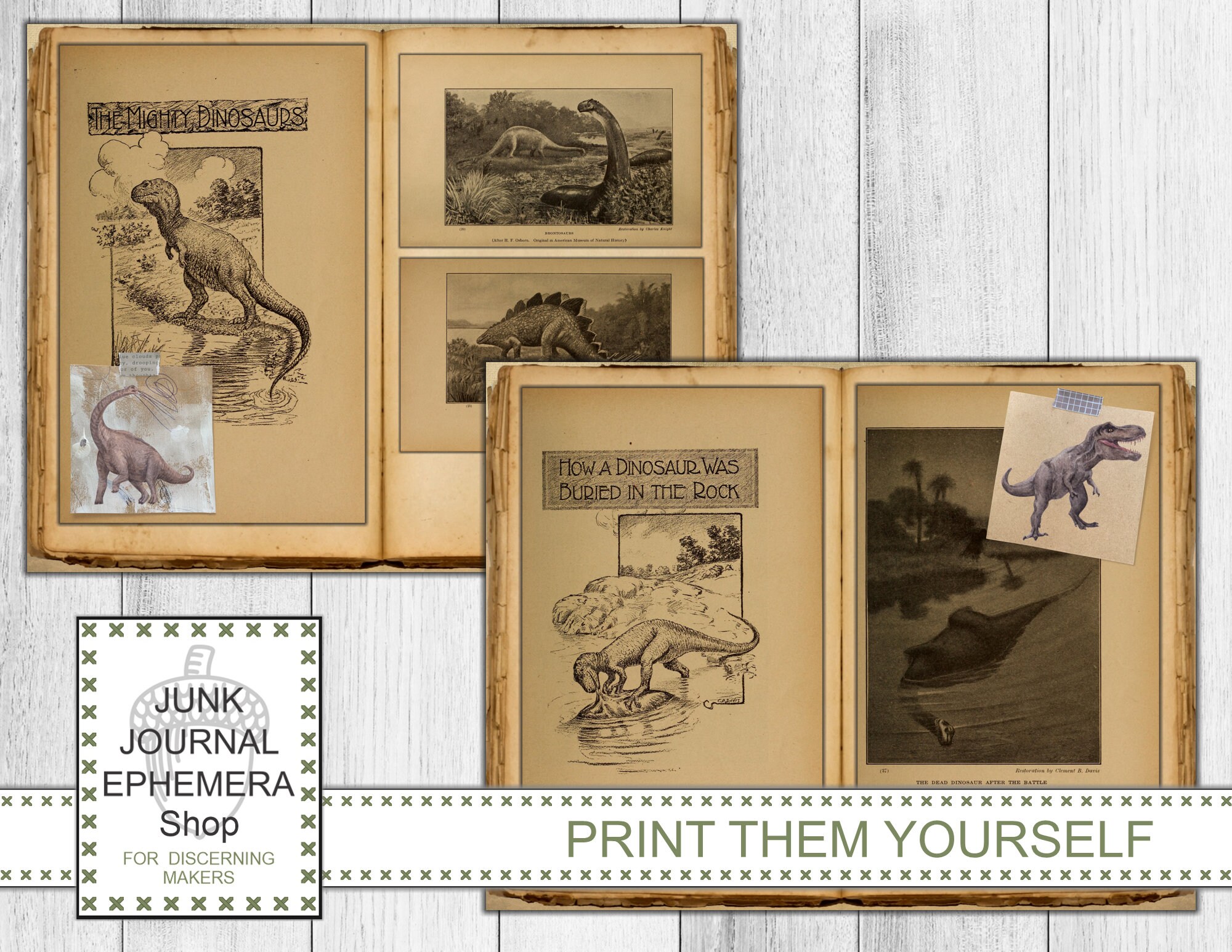 Vintage Dinosaurs Junk Journal Kit, Nature Ephemera, Vintage Watercolor ...