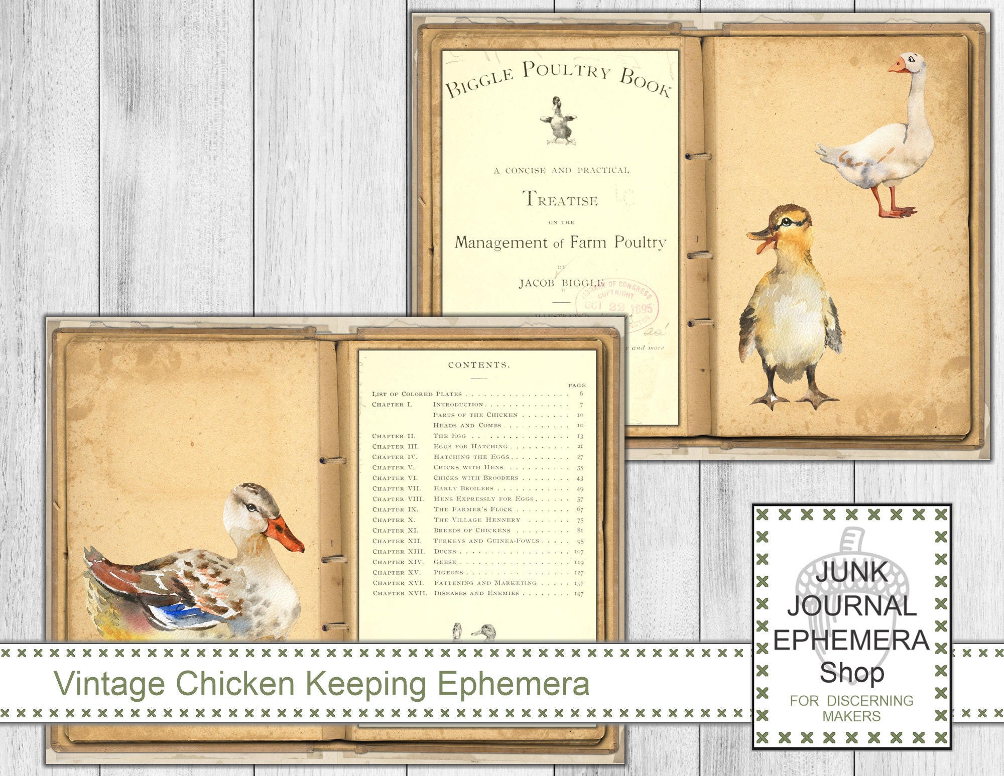 Vintage Chickens 2 Junk Journal Kit - Etsy