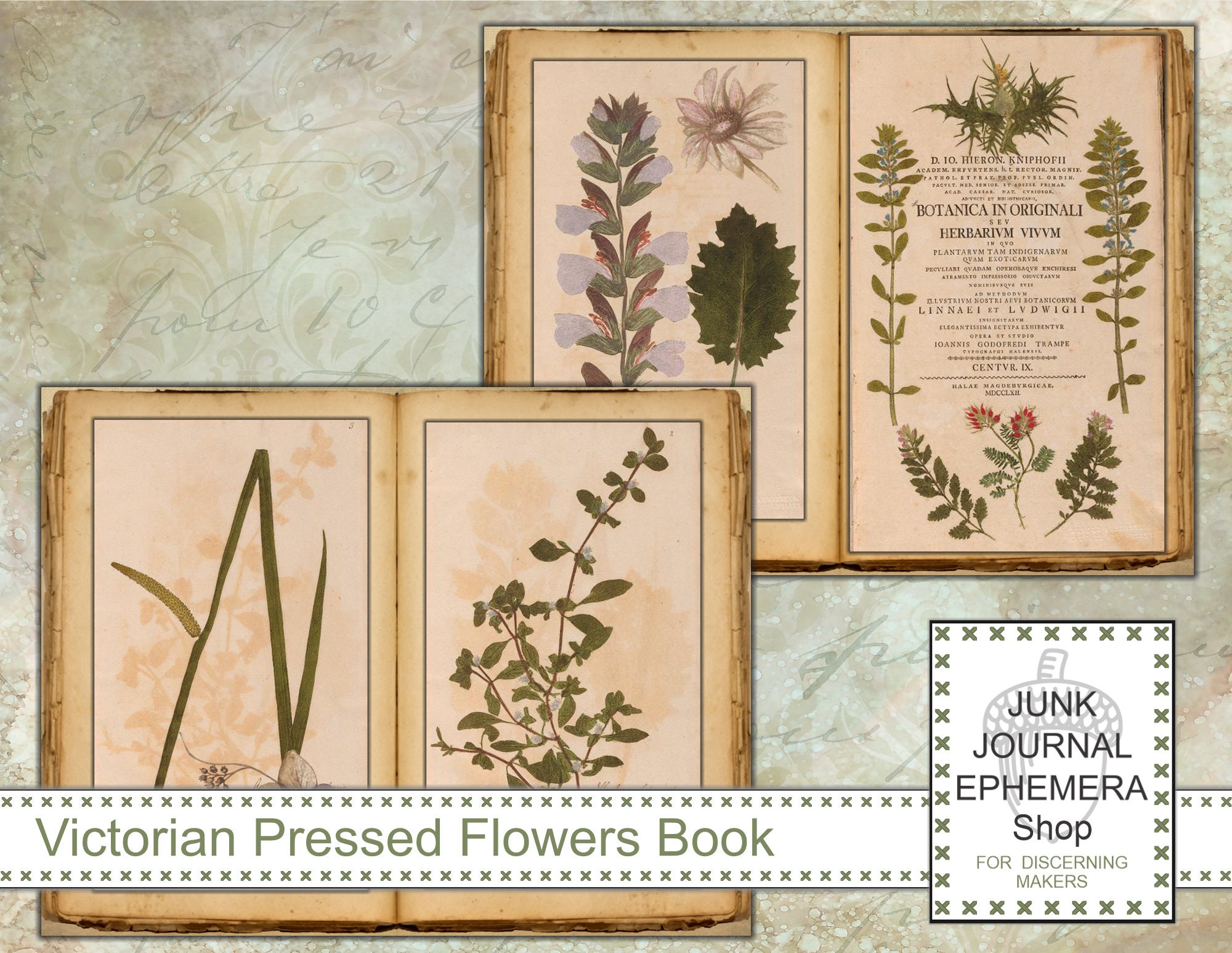 Pressed Flowers Junk Journal Kit - Etsy