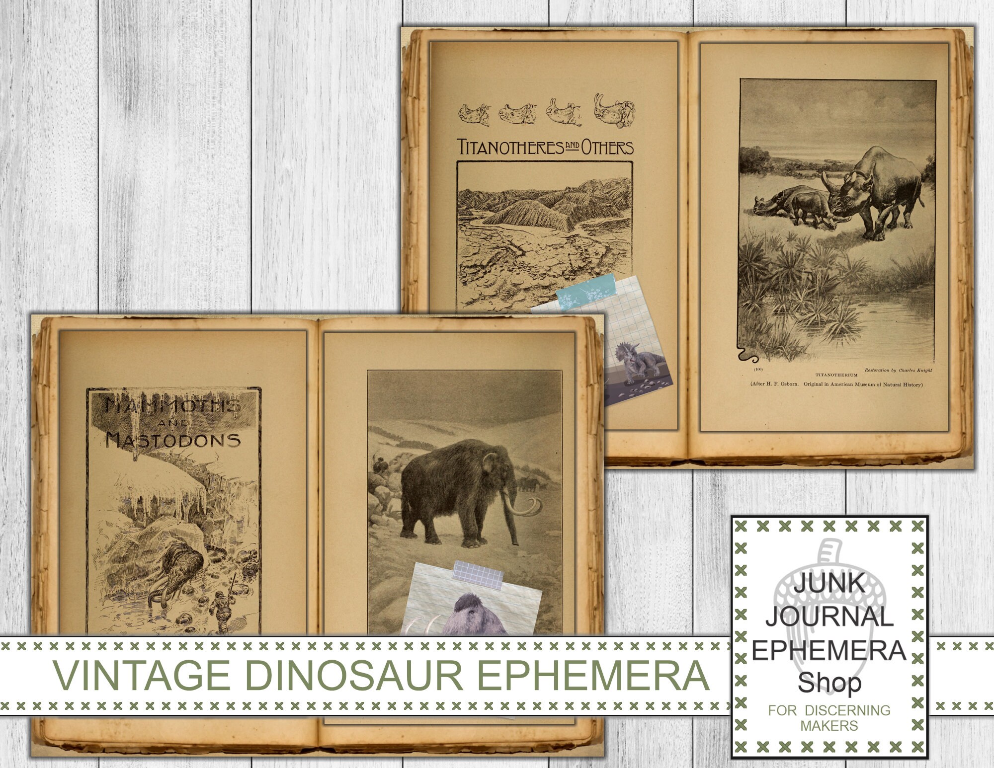 Vintage Dinosaurs Junk Journal Kit, Nature Ephemera, Vintage Watercolor ...