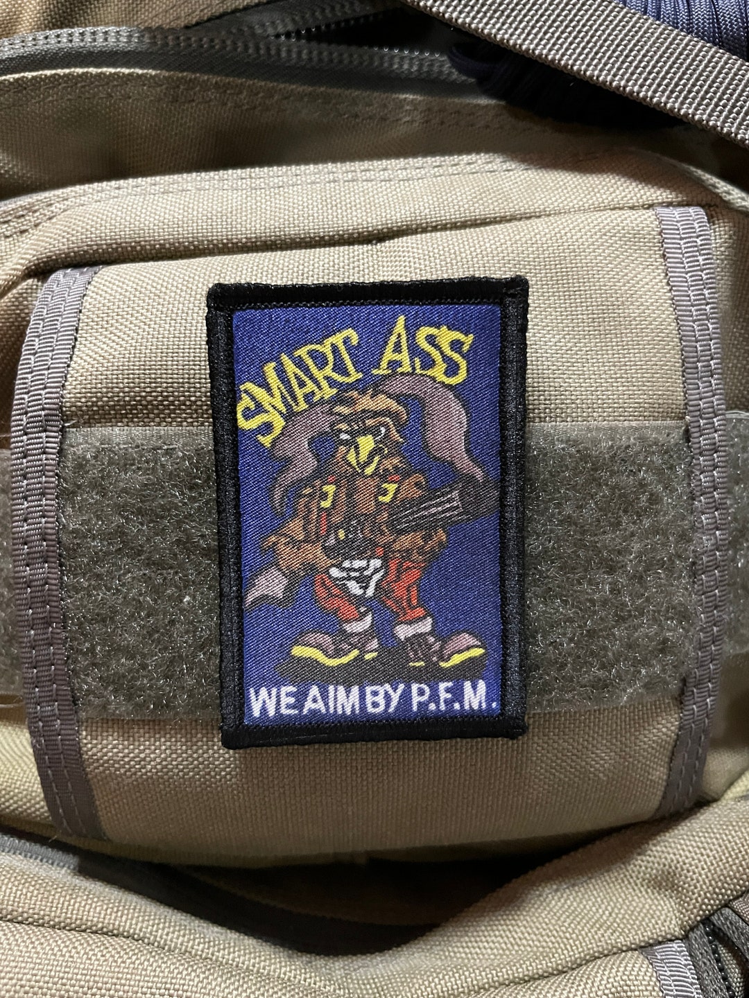 Colonial Marines Dropship Nose Art "smart Ass" Morale Patch- Hook and ...