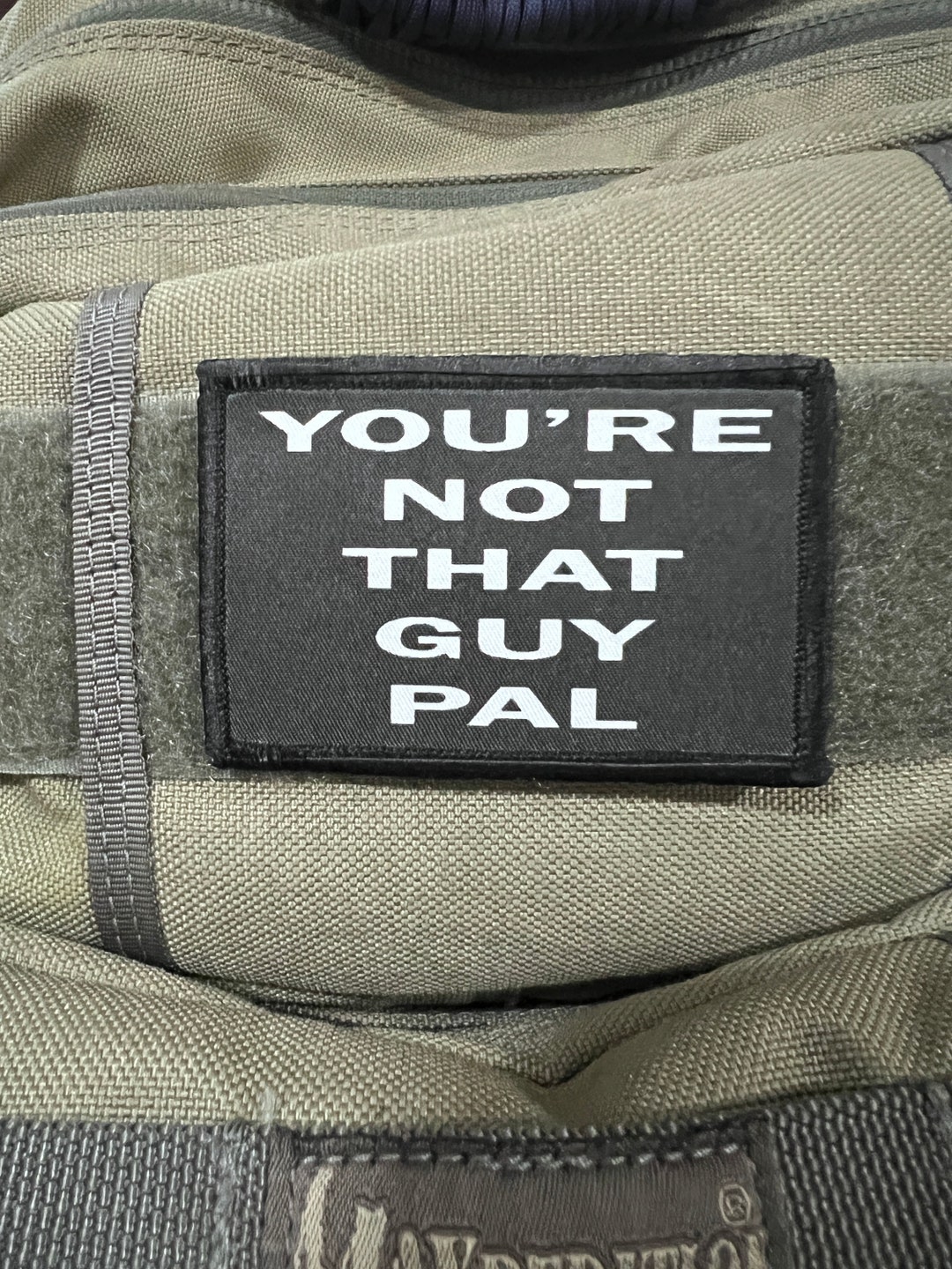 You're Not That Guy Pal Meme Funny Morale Patch- Hook and Loop Custom ...