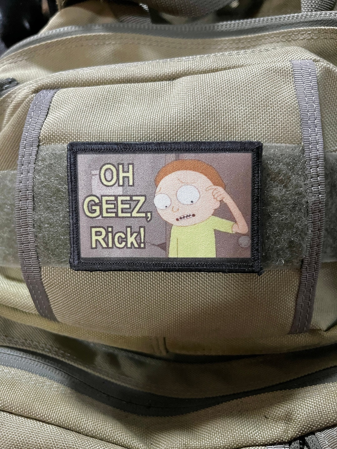 Oh Geez Rick Morale Patch- Hook and Loop Custom Patch 2x3" Made in the ...