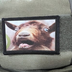 Screaming Goat Meme Funny Morale Patch- Hook and Loop Custom Patch 2x3 ...